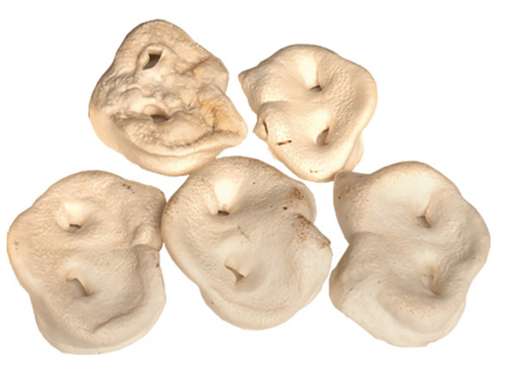 Køb Snack'it Hvide Tryner 5stk. hos ZooPet webshop